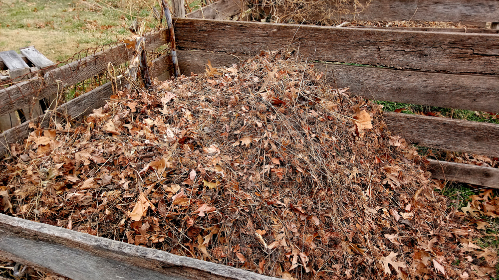 A Stairway to Heaven – How I Learned to Cook, an Artist's Life ...